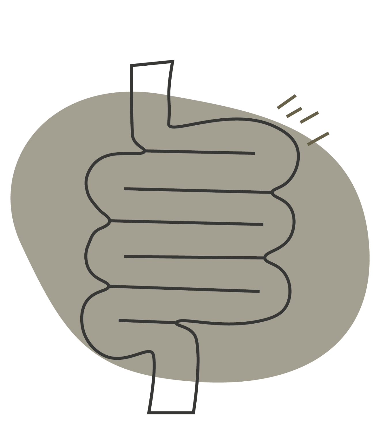 Genussvoll - Ganzheitliche Ernährungsberatung